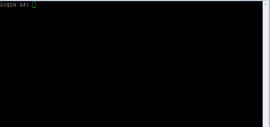 How To Access A Vps Via Ssh Protocol Space Hosting 4317